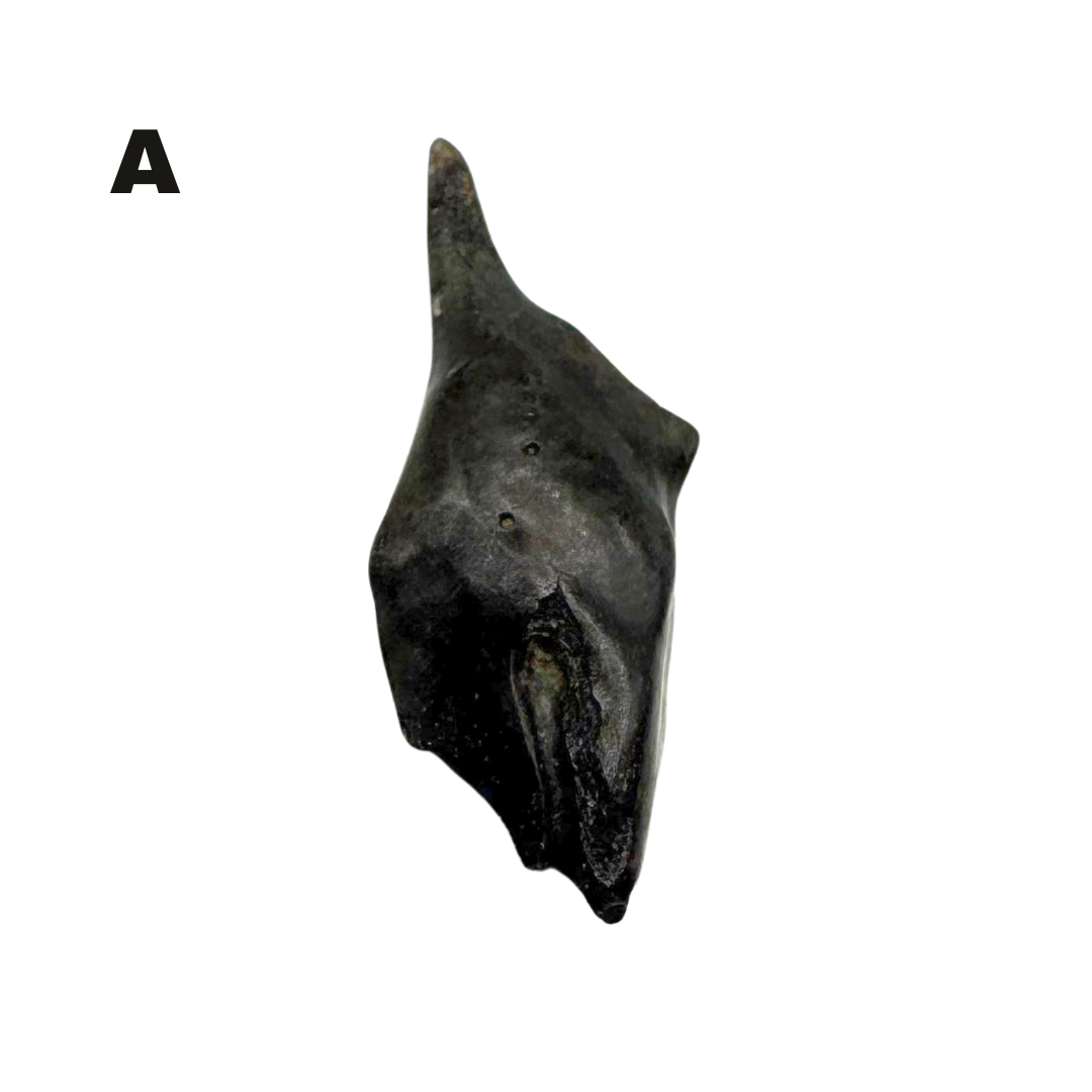 Pick Your Gar Scale – SHRKco LLC