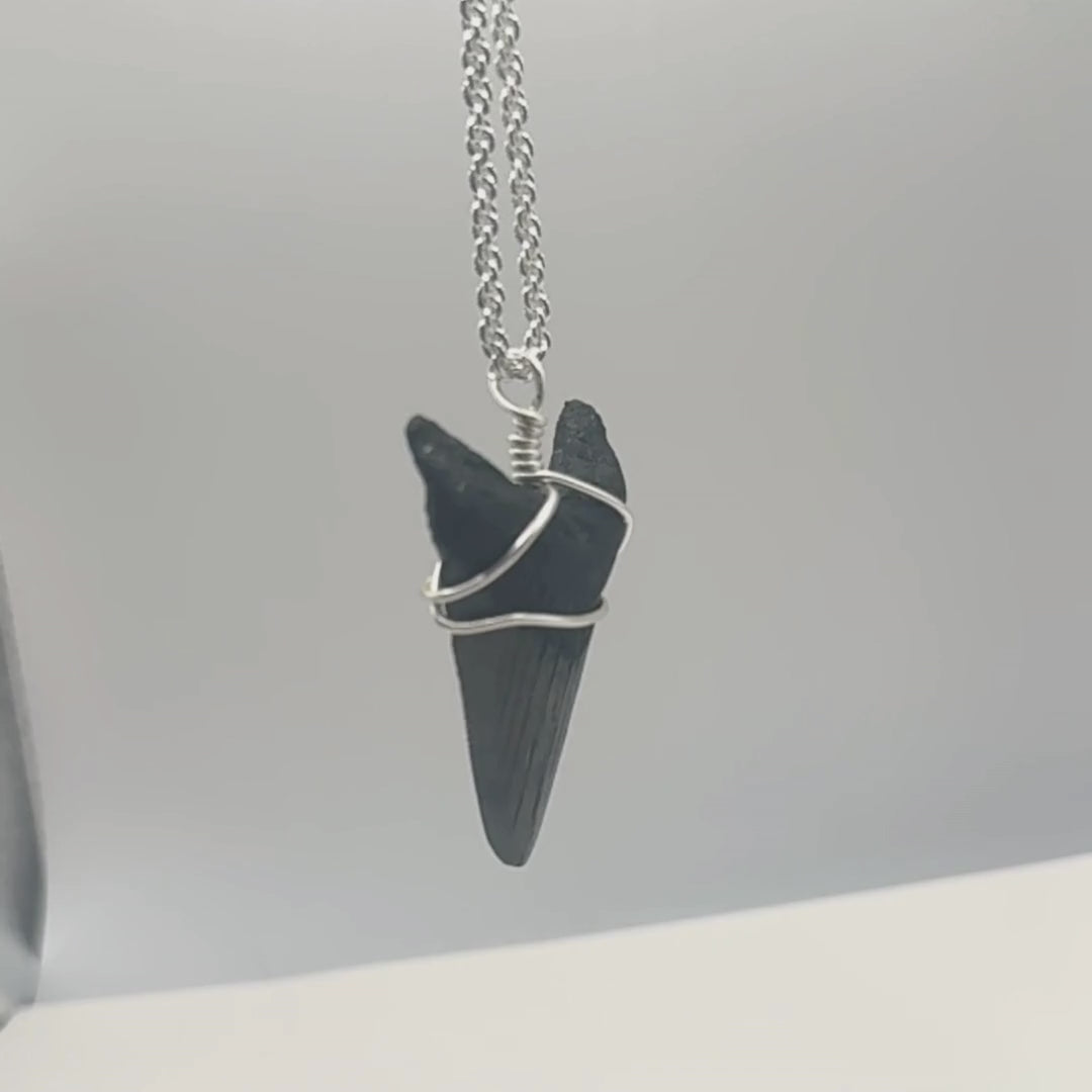 Sterling Silver Rope Chain Megalodon Necklace – SHRKco LLC